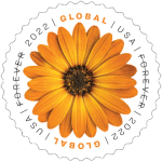 Can I Mail a Letter to Canada with Forever Stamps? - MAILBOX MASTER