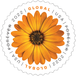 Can I Mail a Letter to Canada with Forever Stamps? - MAILBOX MASTER