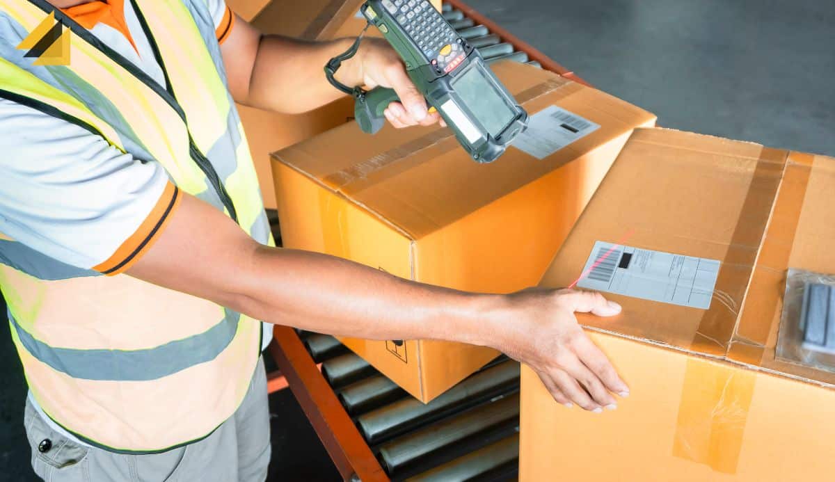 What Does USPS "Moving Through Network" Mean? - MAILBOX MASTER