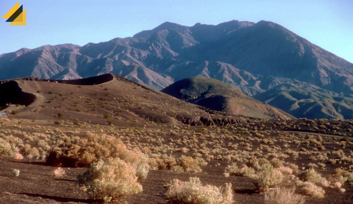Package Transferred to Another Carrier for Delivery - MAILBOX MASTER